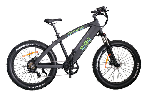 Commute Electric | Easy E Rider
